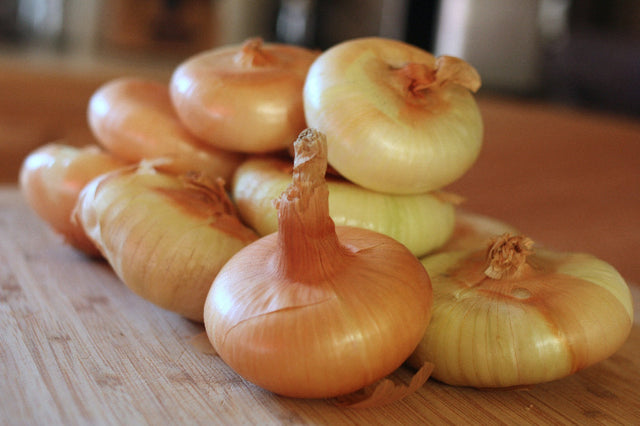 Borettana Cipollini Yellow Onion – Grateful Harvest Seed Company