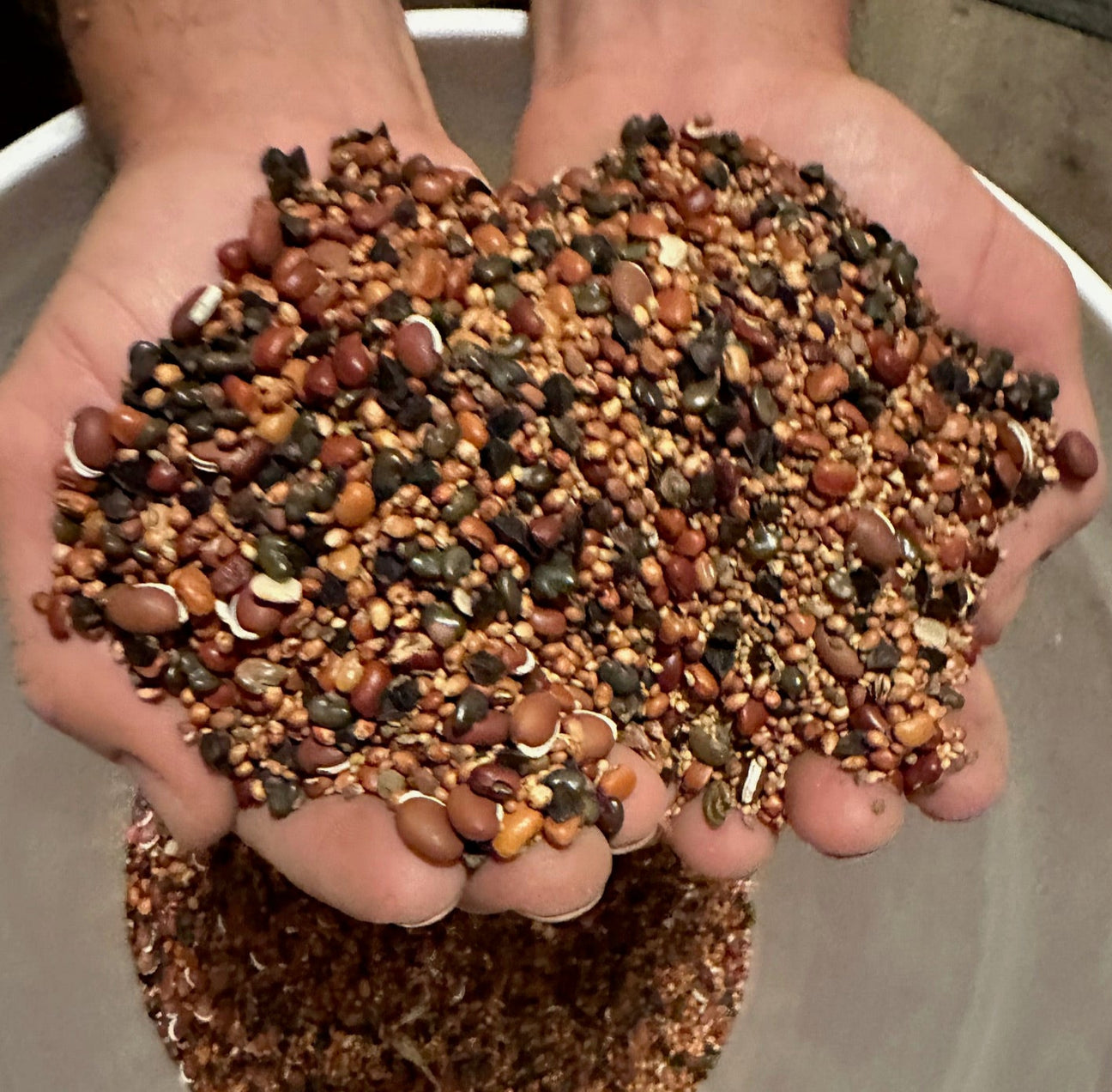 Grateful Harvest Seed Company